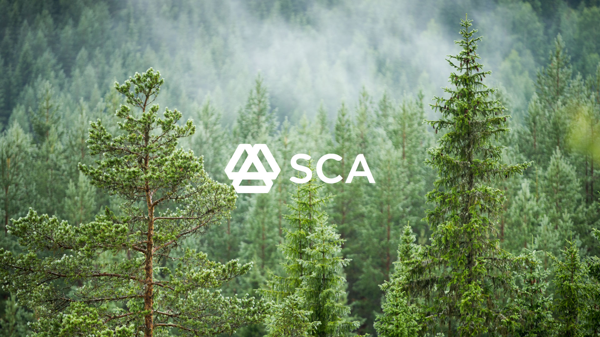 Enhanced understanding of Buying Channel optimization enabled SCA to ...